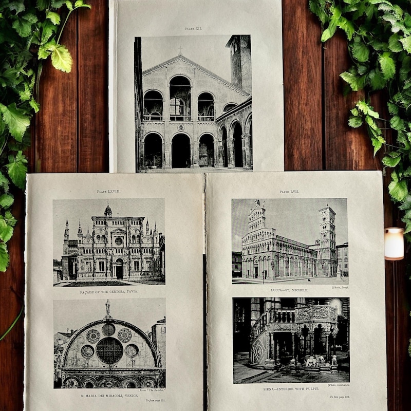 Architectural Plate - Etsy
