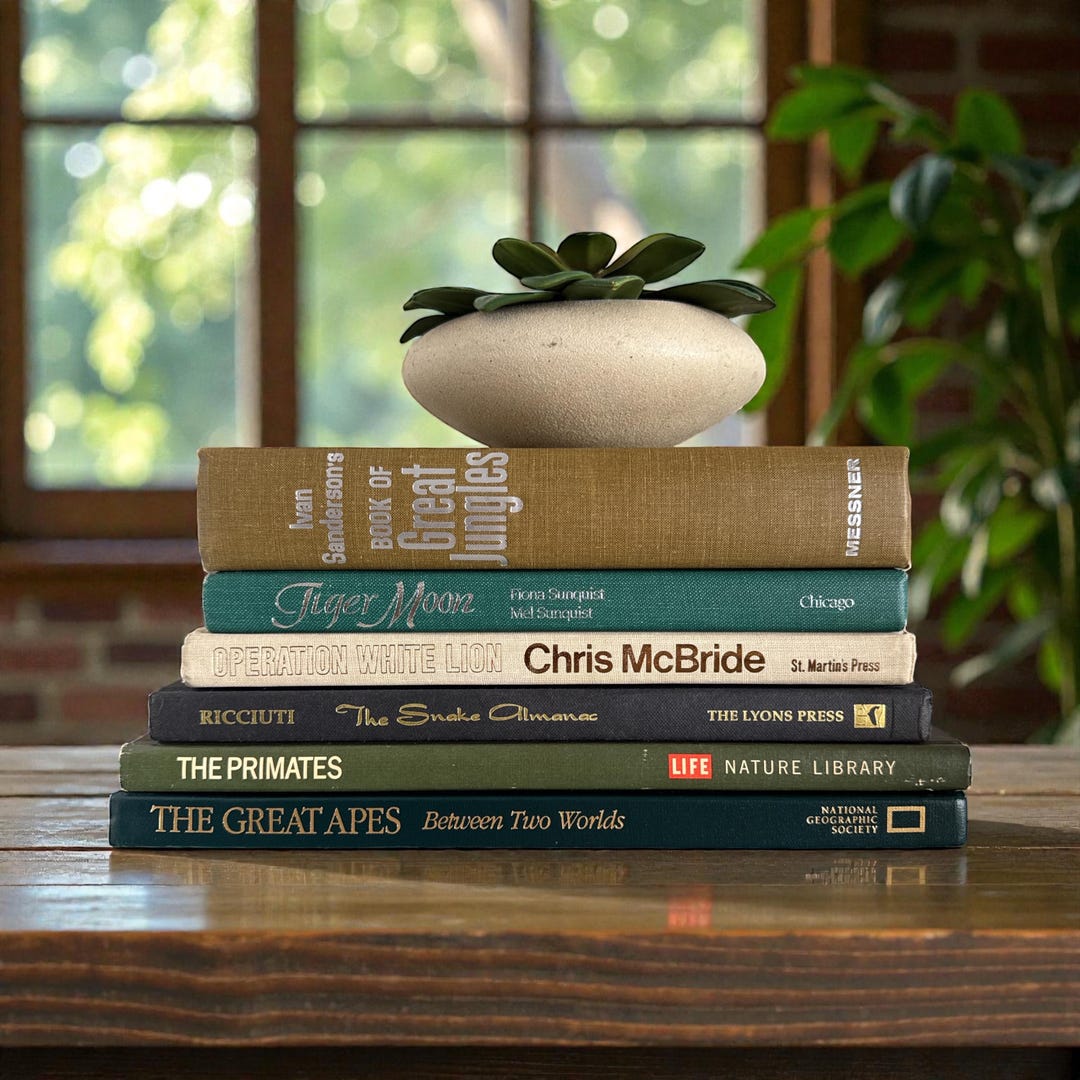 Jungle Safari Books Stacks, Safari Animal Home Decor - Etsy