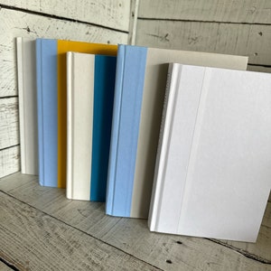 Light Blue and White Books for Home Decor Sky Blue Book Stack for ...