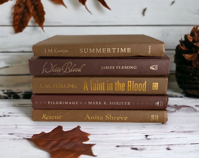 Modern Brown Books Stack, Collection of 5 REAL Interior Decorator Books ...