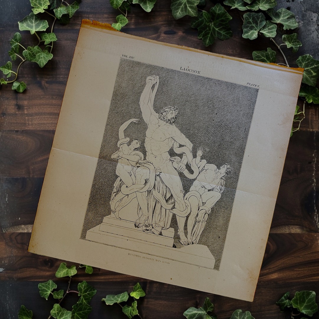 Antique 1891 Laocoon and His Sons Statue Art, Laocoon Book Illustration ...