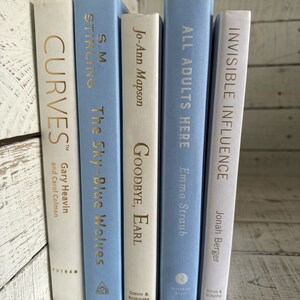 Light Blue and White Books for Home Decor Sky Blue Book Stack for ...