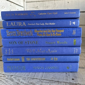 Modern Blue Books, REAL Interior Decorator Books With Blue Spines, Home ...