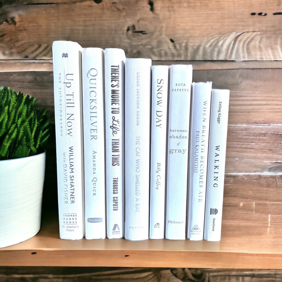 White Modern Books Set, Interior Decorator White Books, White Home ...
