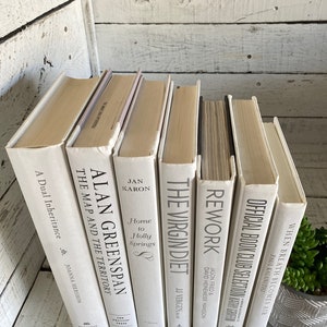 White Modern Books Set, Interior Decorator White Books, White Home ...