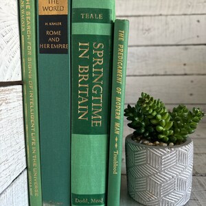 Vintage Green Books, Vibrant Green Shelf Decor, Green Interior ...