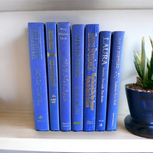 Modern Blue Books, REAL Interior Decorator Books With Blue Spines, Home ...