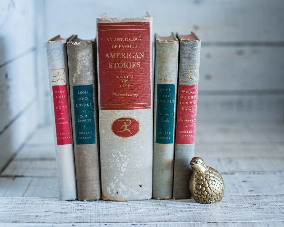 Vintage Modern Library Book Set: Shabby Chic Decor, Set of 5 - Etsy
