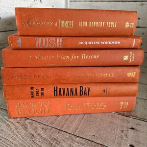 Modern Terracotta Books, Interior Decorator Books Set in Burnt Orange ...