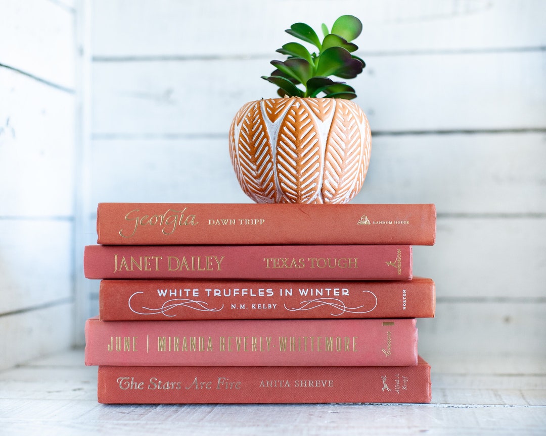 Modern Rust or Brick Books Dark Terracotta Interior - Etsy