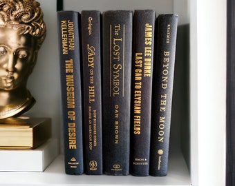 Black Books Set, Black and Silver Modern Book Collection, Black ...