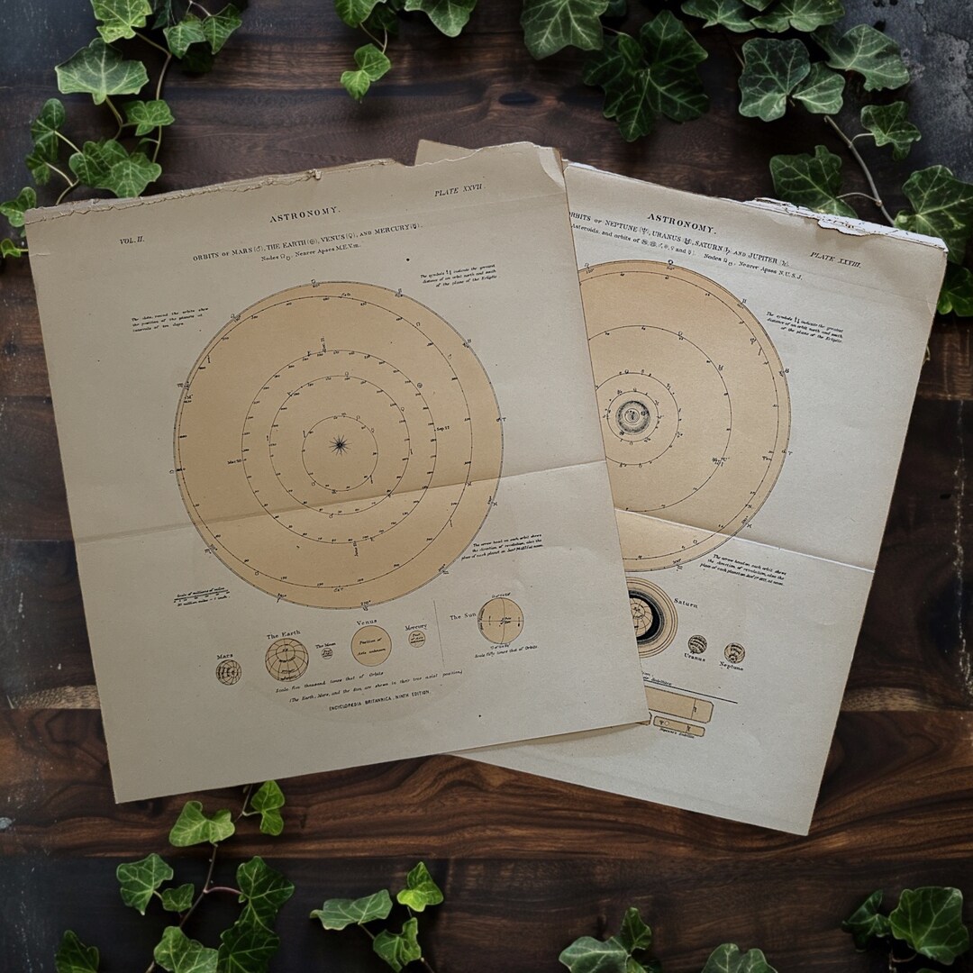 Antique 1891 Astronomy Art Plate, Orbits of the Planets Lithograph ...