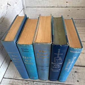 Vintage Blue Books Set, Interior Decorator Books, Blue Book Decor ...