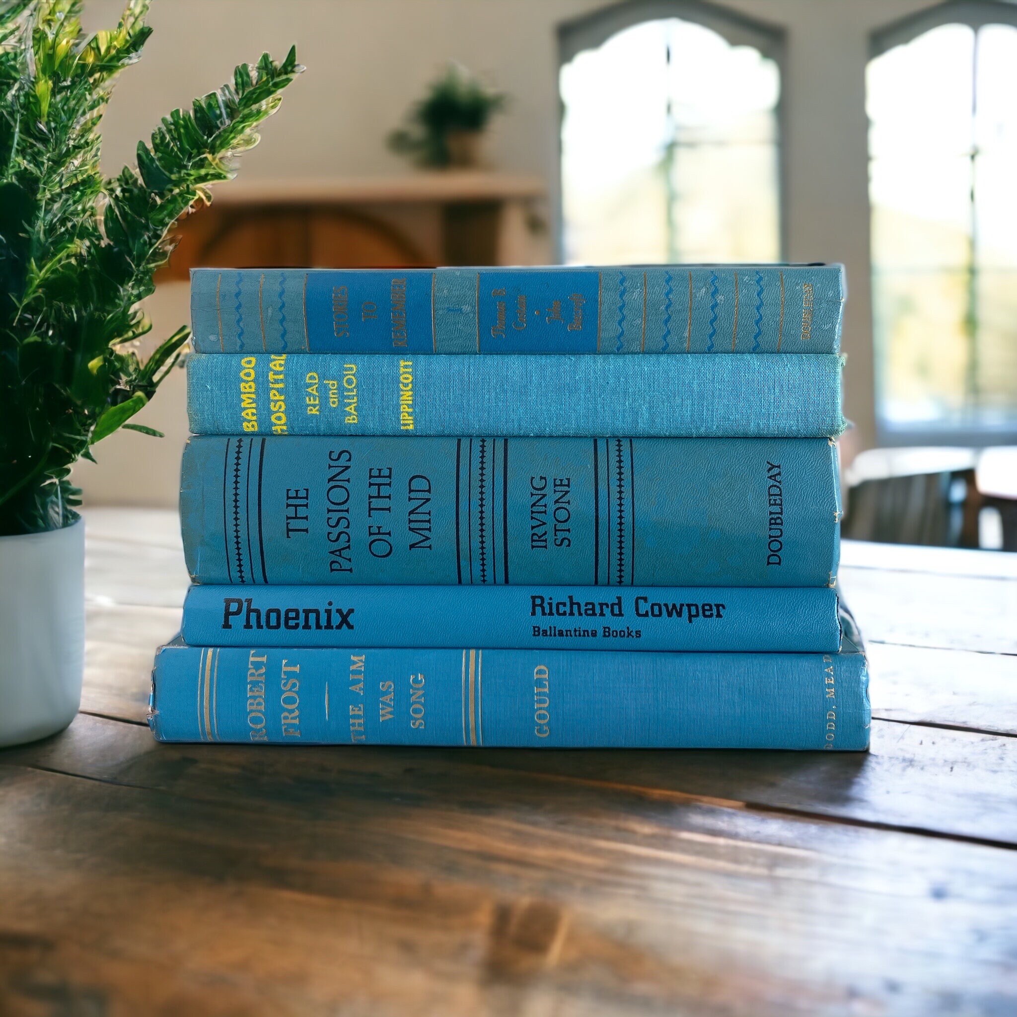 Vintage Turquoise Blue Book Set: Home Decor Staging Books, Set of 5 - Etsy