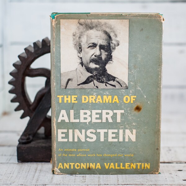 Albert Einstein on the Toilet - Etsy