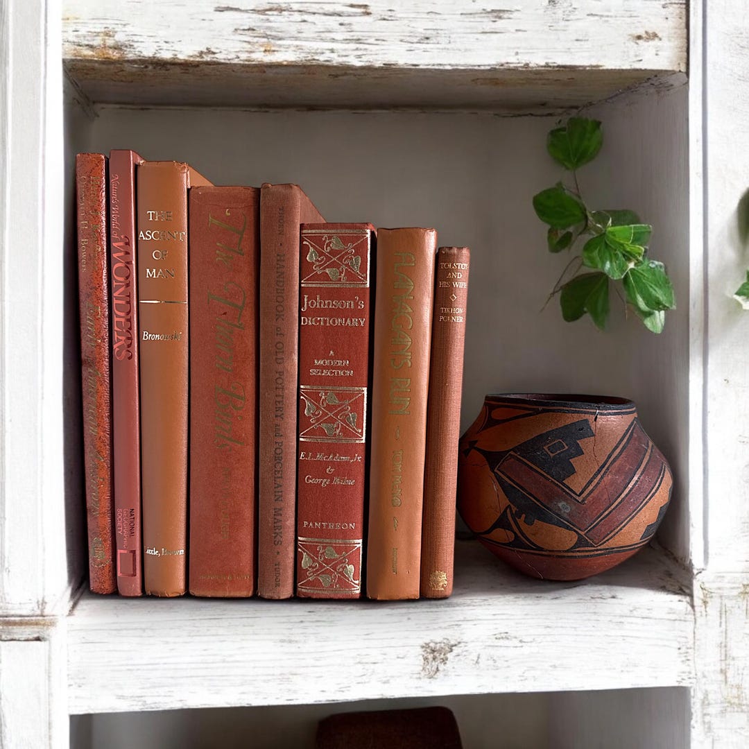 Terracotta Books, Interior Decorator Books Set in Burnt Orange or Terra ...