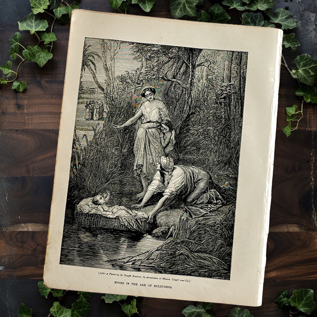 Antique 1877 Bible Engraving of Baby Moses in Ark of Bulrushes ...