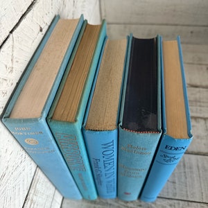 Vintage Vibrant Blue Books, Bright Blue Interior Decorator Book Stack ...