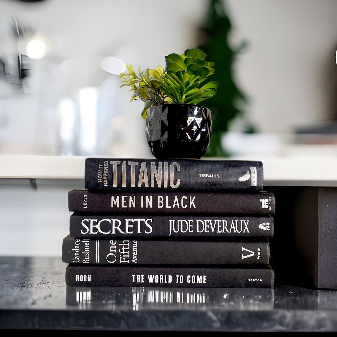 Black Books Stack, Modern REAL Black and Silver Books for Interior ...