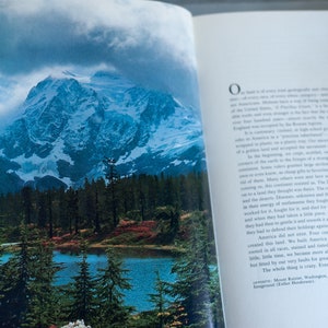 BLUE Coffee Table Books Stack Large Books in Pretty Blues and Gold Set ...