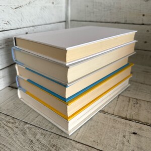 Light Blue and White Books for Home Decor Sky Blue Book Stack for ...