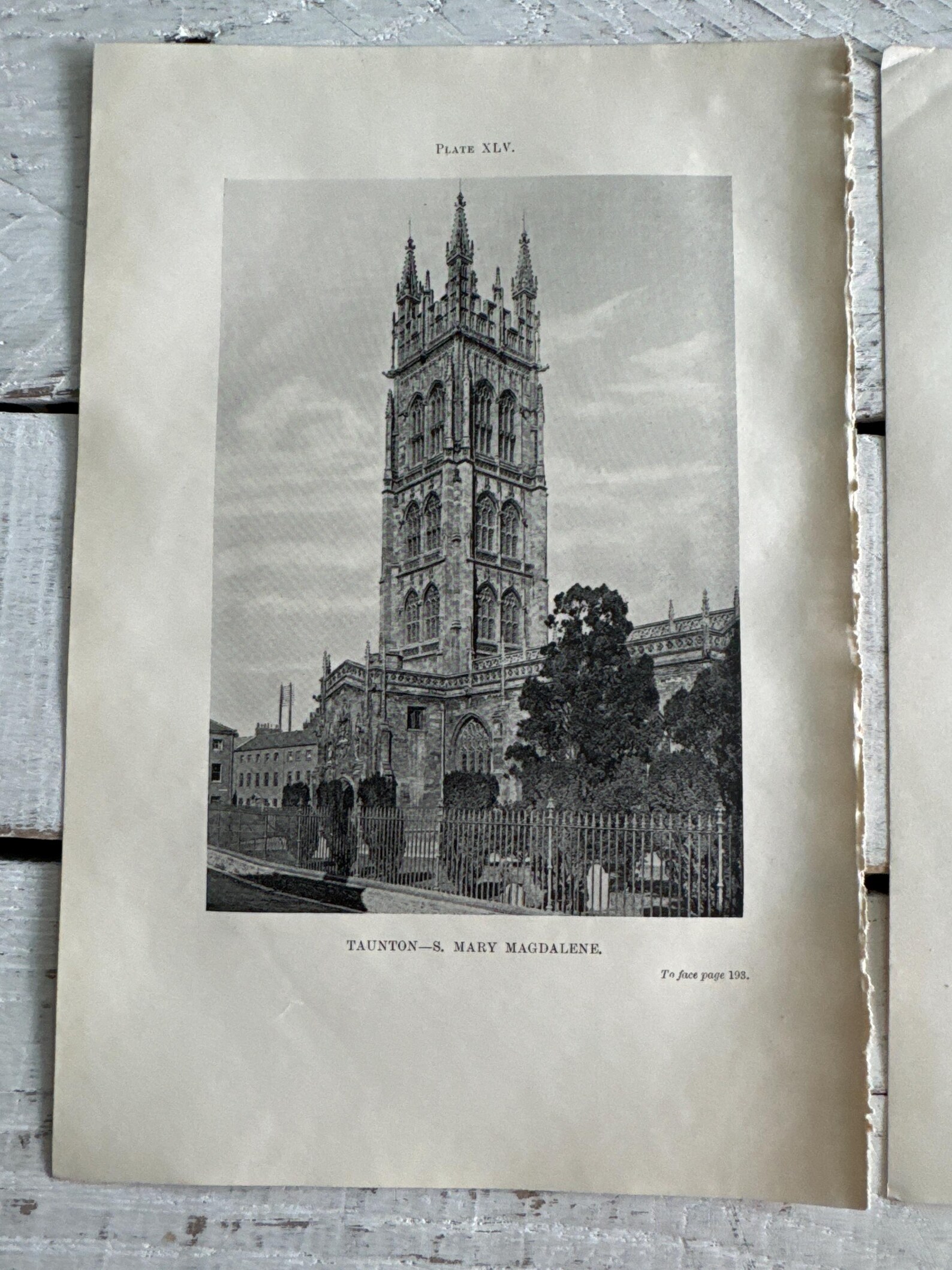 Antique Gothic Cathedral Photography Art: 1925 Book Plate Prints - Etsy