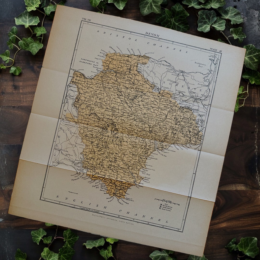Antique 1891 Devon Map Book Plate Art, Antique Devonshire England Map ...