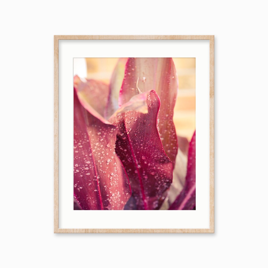 Botany Print Digital Photo - Plant Picture - Etsy