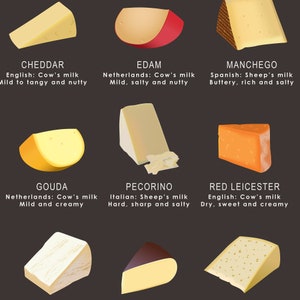 Cheese Poster for Kitchens and Restaurants - Etsy