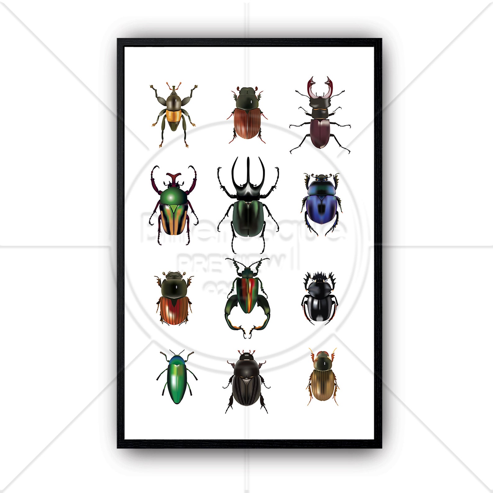 Bugs Illustration Creepy Crawlies Wall Art by Billeresque Art - Etsy