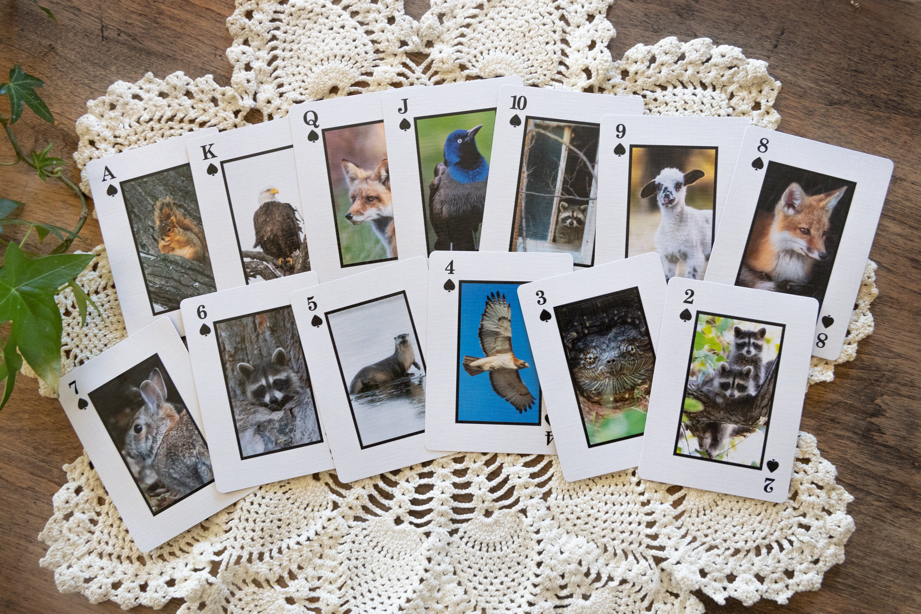 52-card Deck & Two Jokers Playing Cards Featuring Nebraska Wildlife and ...