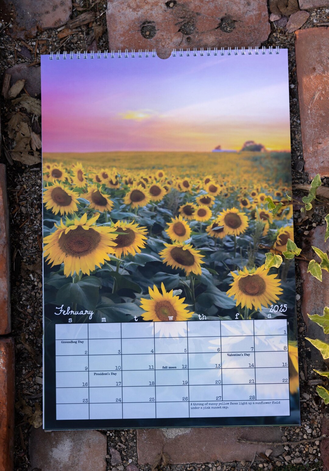 NEW 2025 Nebraska Calendar Wildlife and Landscape Photography Extra ...