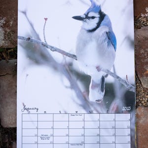 NEW 2025 Nebraska Calendar Wildlife and Landscape Photography Extra ...