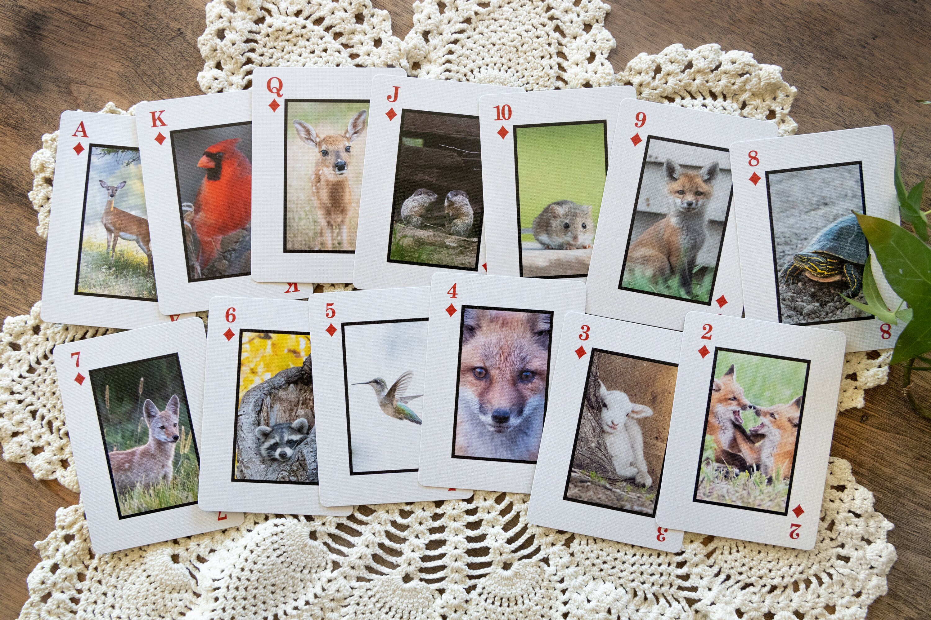 52-card Deck & Two Jokers Playing Cards Featuring Nebraska Wildlife and ...