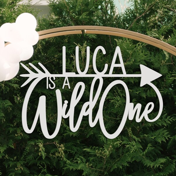 Wild One Birthday Decorations - Etsy