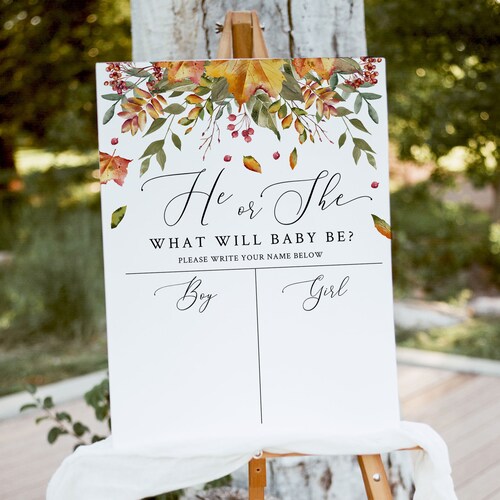PUMPKIN Gender Guess Board He or She Sign Fall Gender - Etsy