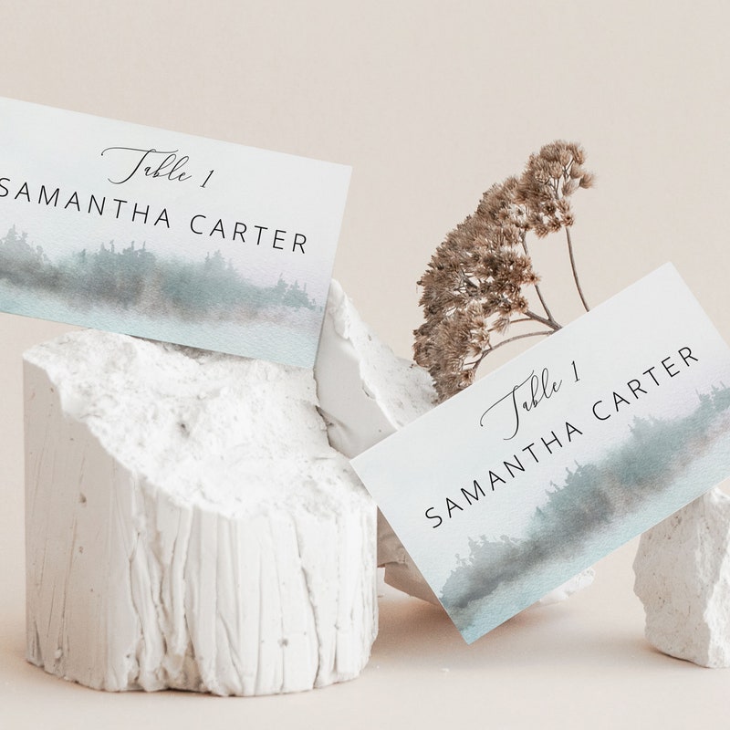 Frozen Place Cards - Etsy