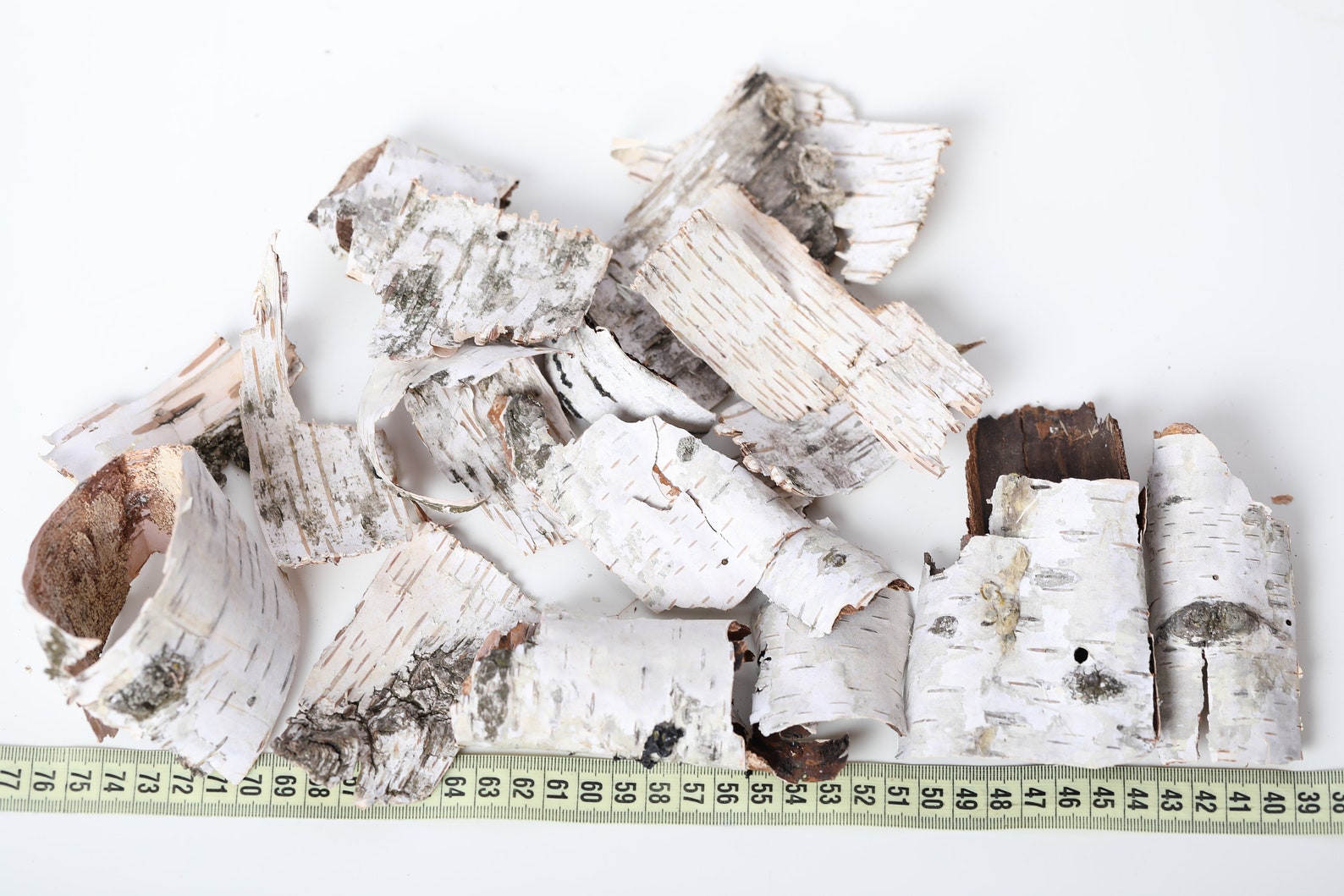 BIRCH BARK, Birch Bark Sheets, Birch Sheets Craft, Birch Pieces, Birch ...