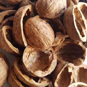 Organic Natural Walnut Shell Halves Round Natural Light Walnut Halves ...