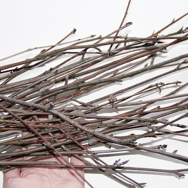 Rowan Tree Art - Etsy