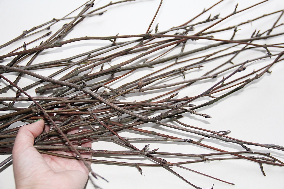 LONG Rowan Branches Rowan Tree Art Set of 10 Dried Rowan - Etsy