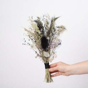 Dried Lunaria - Etsy