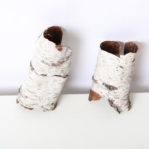 BIRCH BARK Set of 2 Pieces Birch Bark Birch Bark Sheets - Etsy