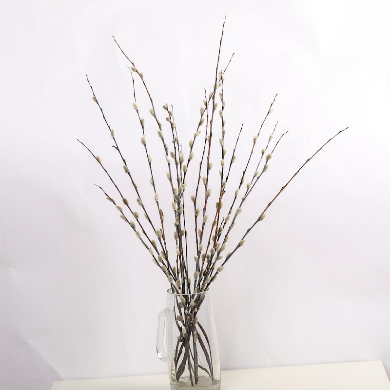 Pussy Willow Branch - Etsy