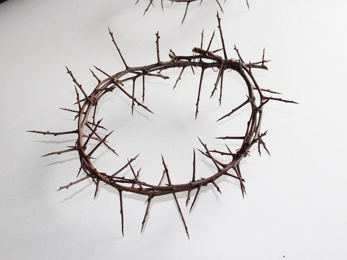 Thorn Crown Natural Thorn Wreath Thorn Hoop - Etsy