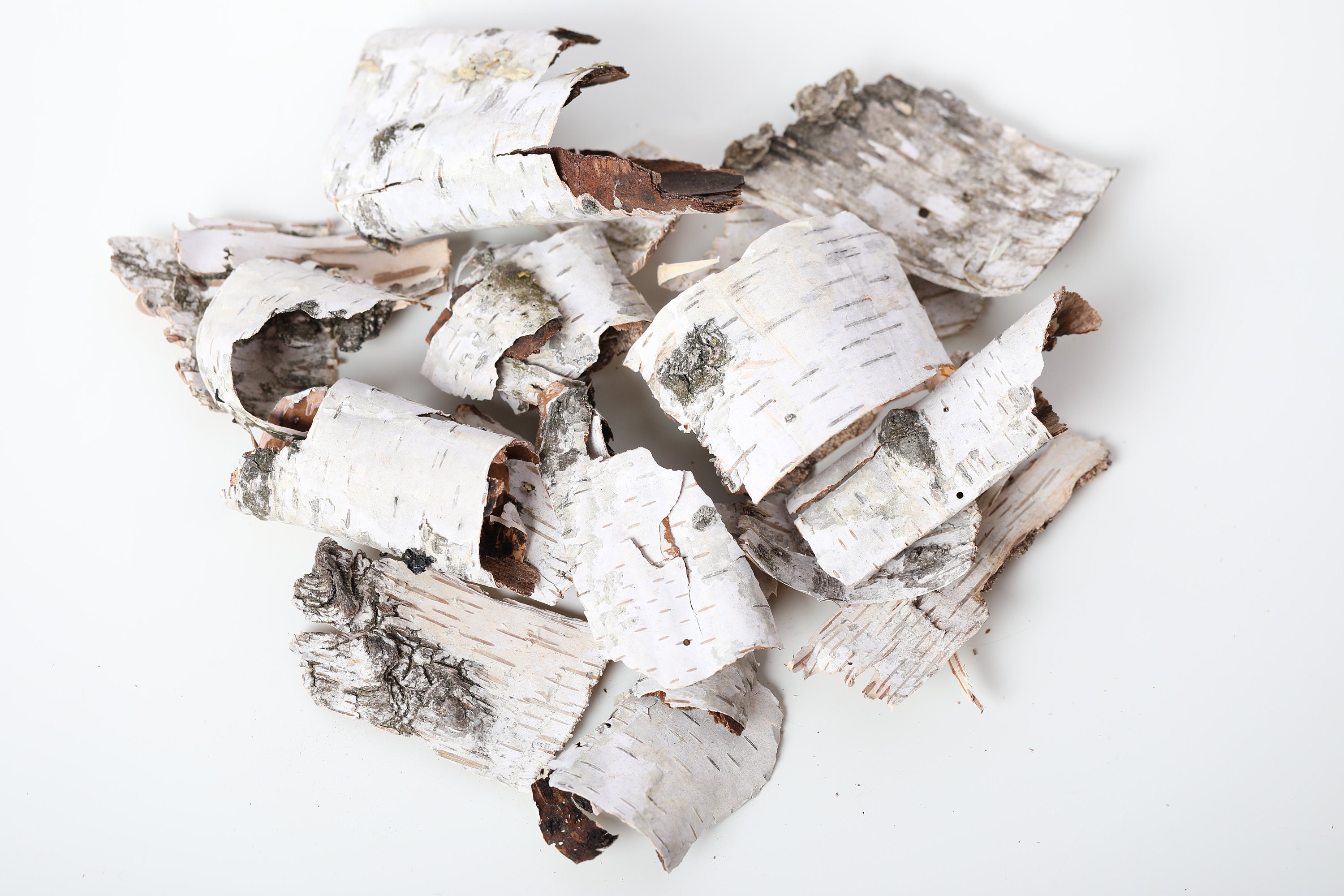 BIRCH BARK, Birch Bark Sheets, Birch Sheets Craft, Birch Pieces, Birch ...