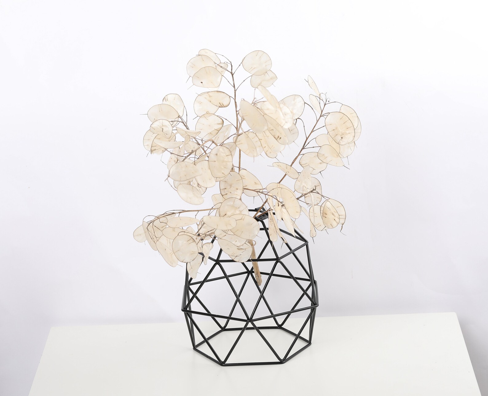 2 Branches Lunaria Dried Flowers Money Plant Lunaria Biennis Silver ...
