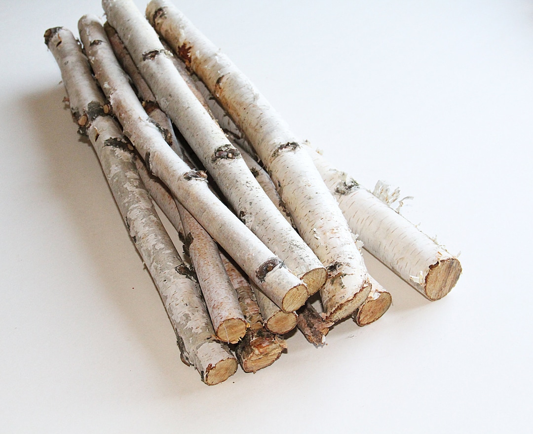 Birch Tree Sticks Birch Tree Wood Birch Tree Art Set of 4 - Etsy