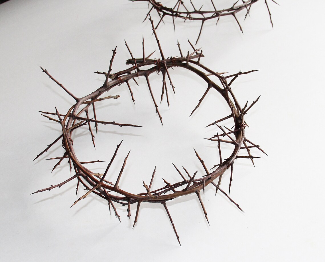 Thorn Crown Natural Thorn Wreath Thorn Hoop - Etsy