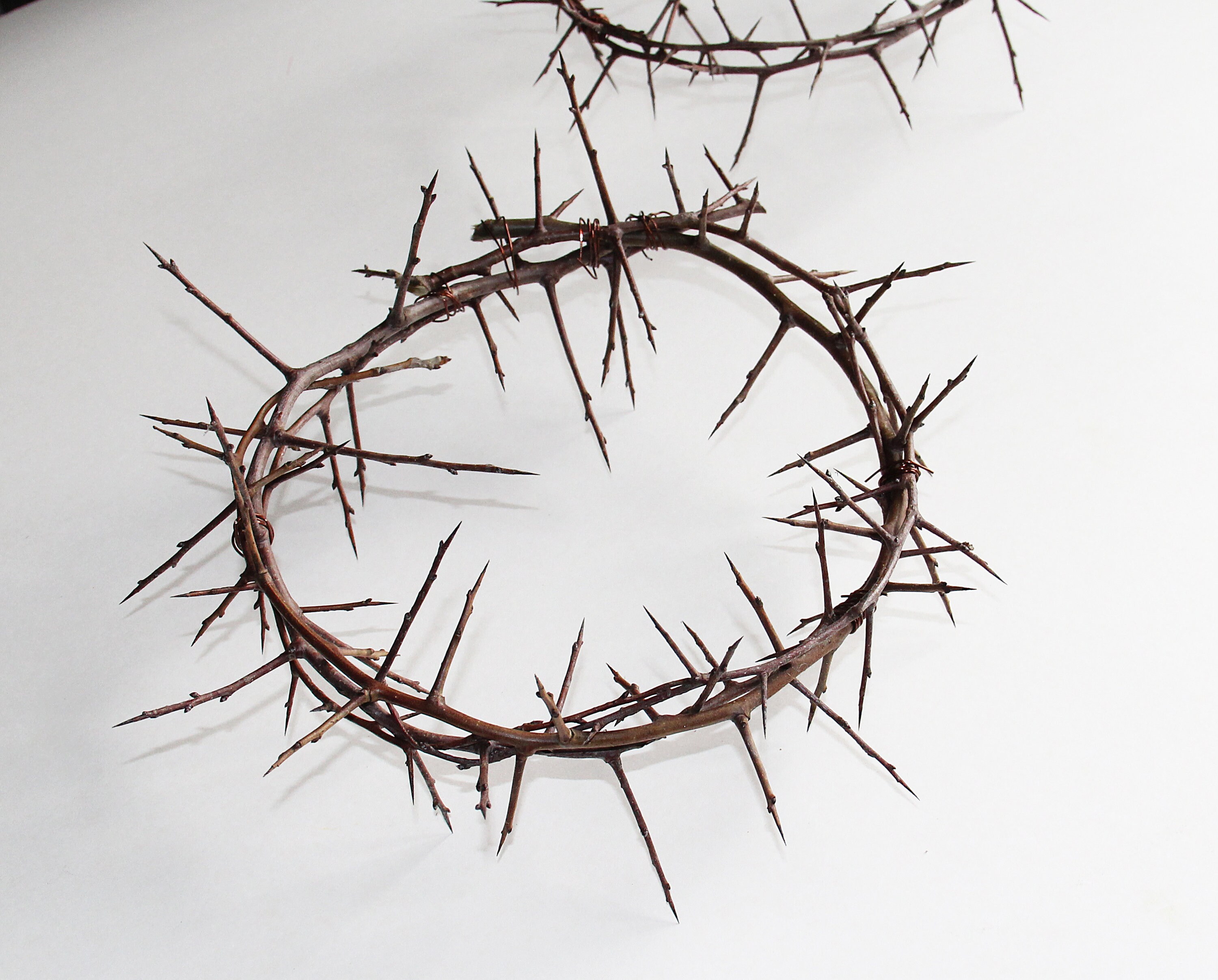Thorn Crown Natural Thorn Wreath Thorn Hoop - Etsy